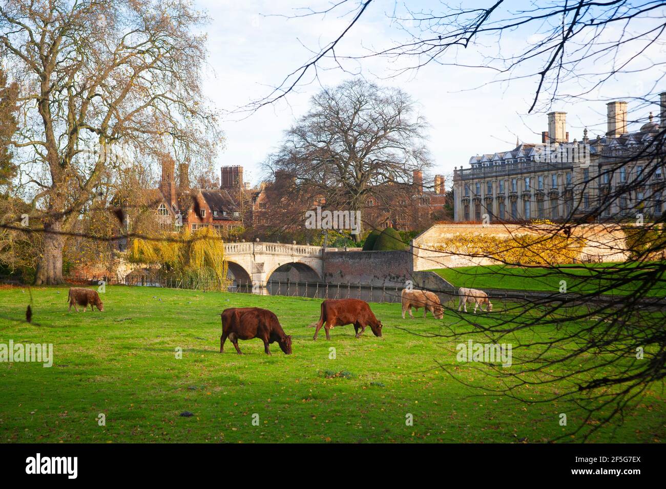 River Cam, Clare Bridge and Clare College, Cambridge, England Stock ...