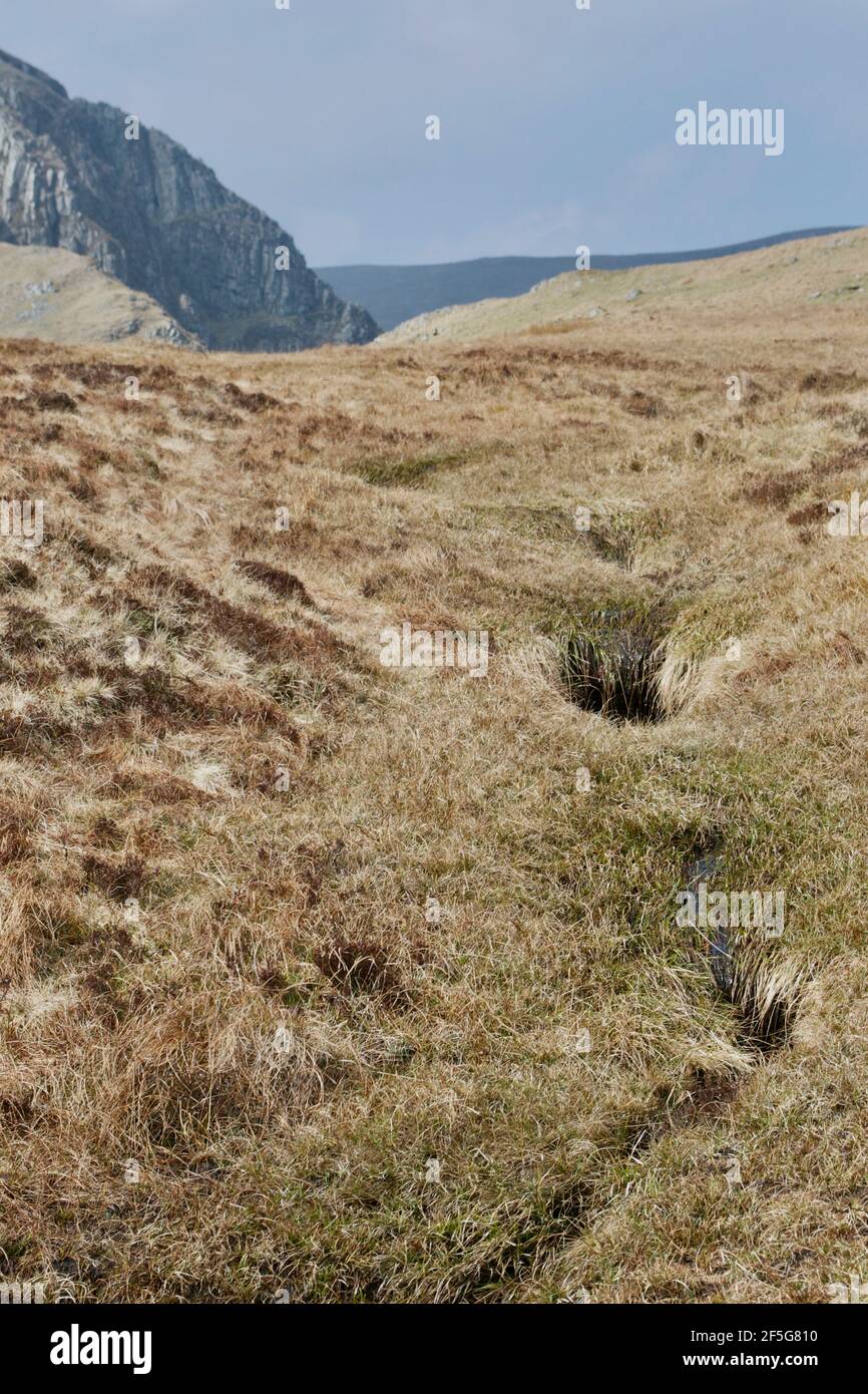 Sodden ground hi-res stock photography and images - Alamy