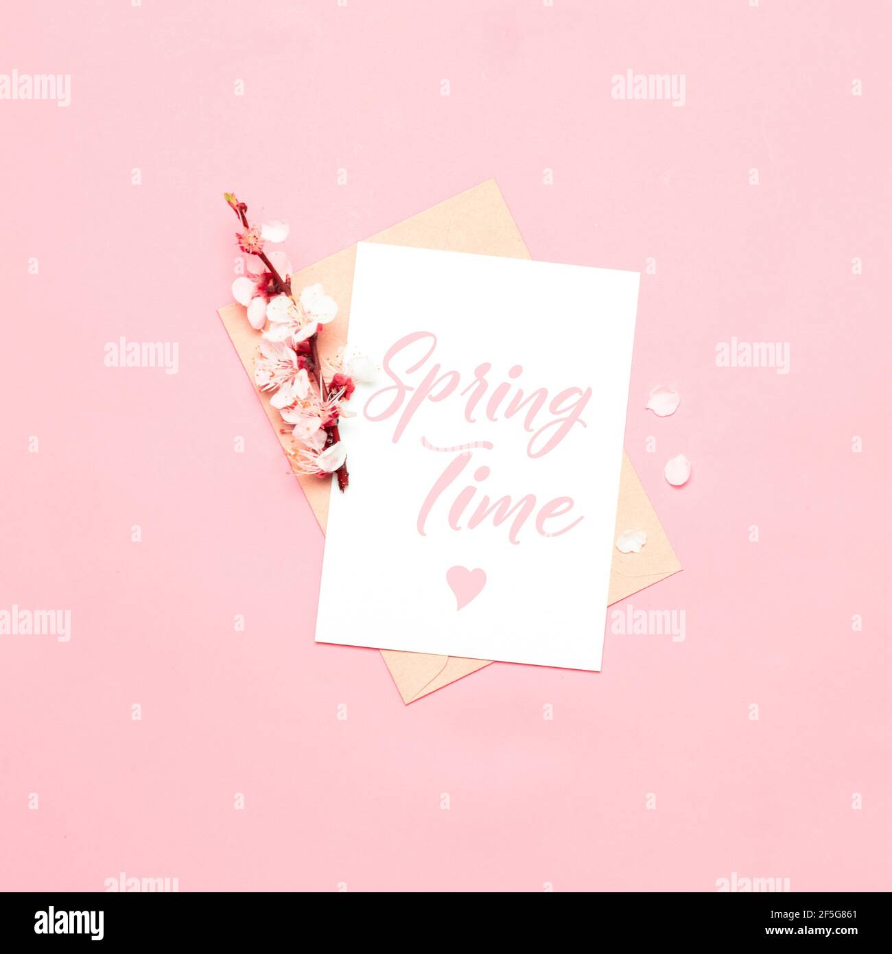 Fresh cherry flowers with white mockup card, Spring time text on pink ...