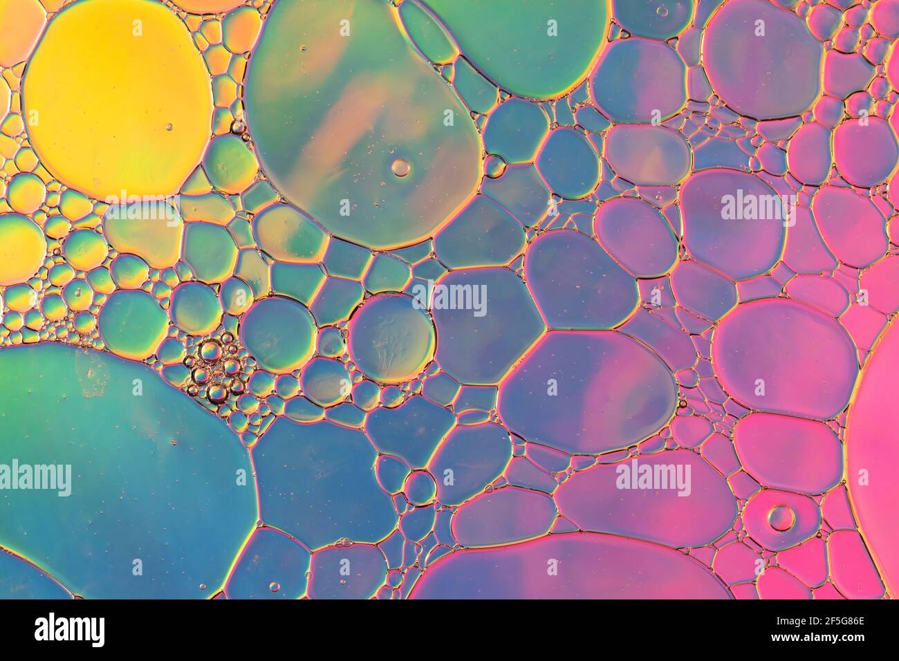 Bright pink liquid water hi-res stock photography and images - Alamy