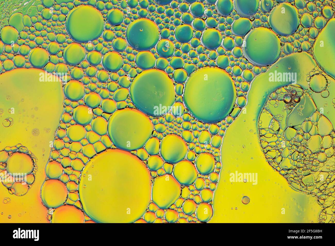 Colorful Oil and Water Abstract Stock Photo - Alamy