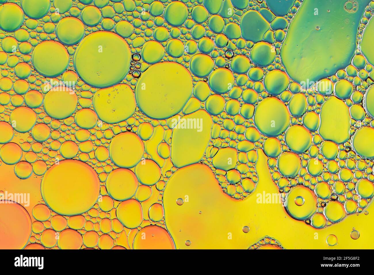 Colorful Oil and Water Abstract Stock Photo - Alamy
