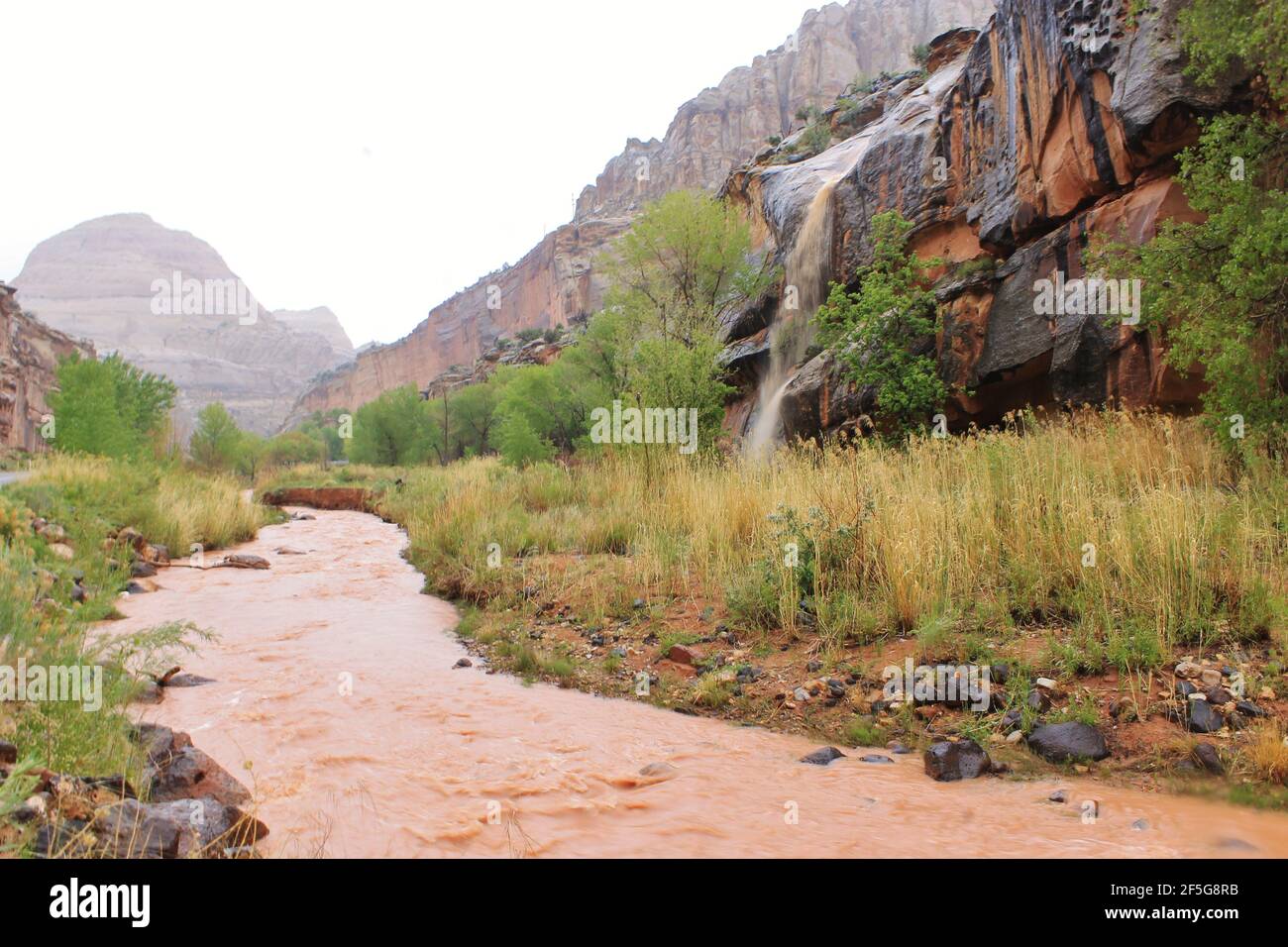 Flash Flood in the desert Stock Photo - Alamy