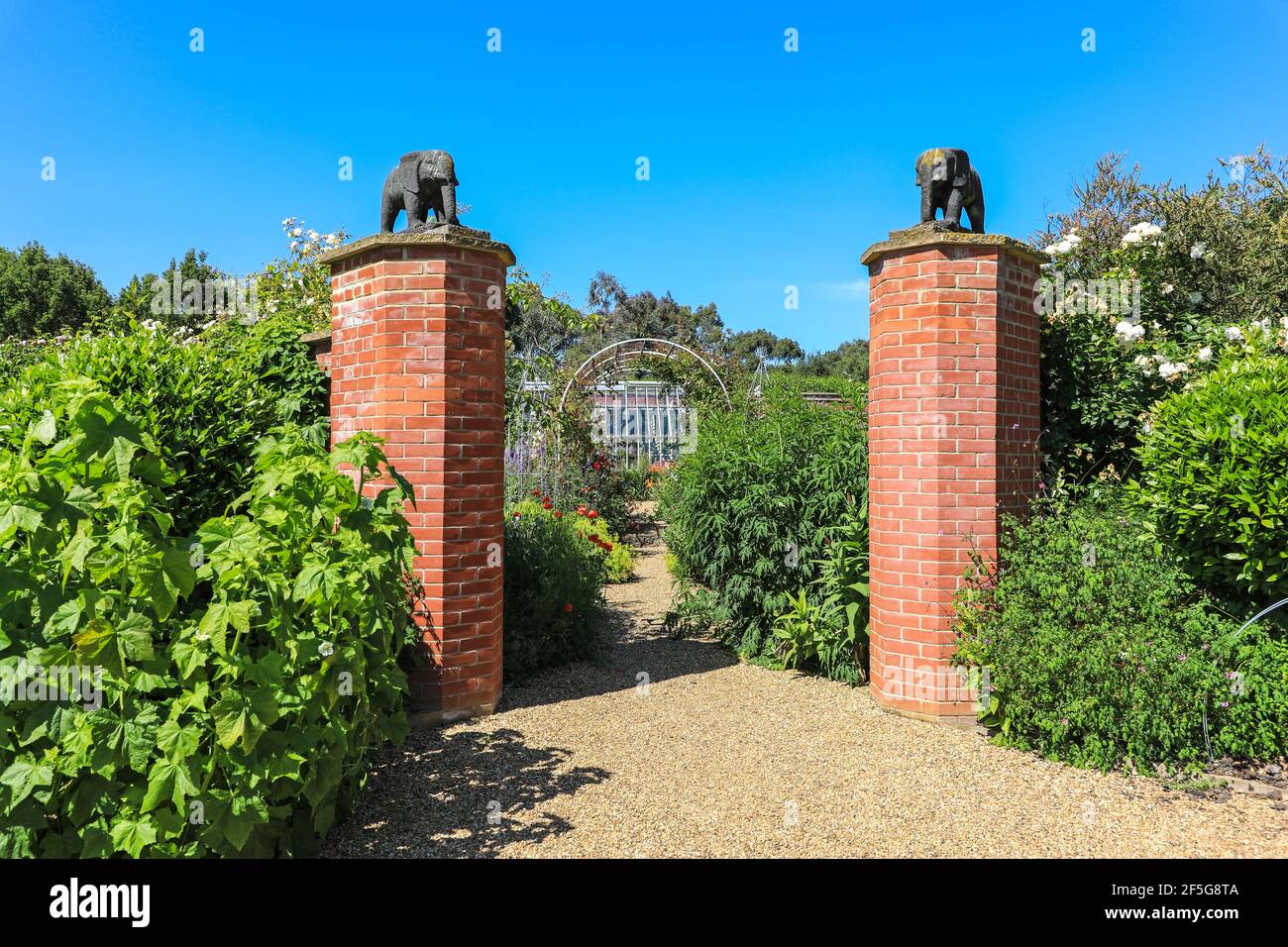 East Ruston Old Vicarage Garden, East Ruston, Norfolk, England, UK Stock Photo - Alamy