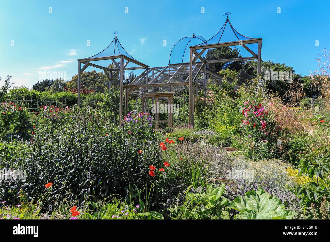 East ruston old vicarage garden hi-res stock photography and images - Alamy