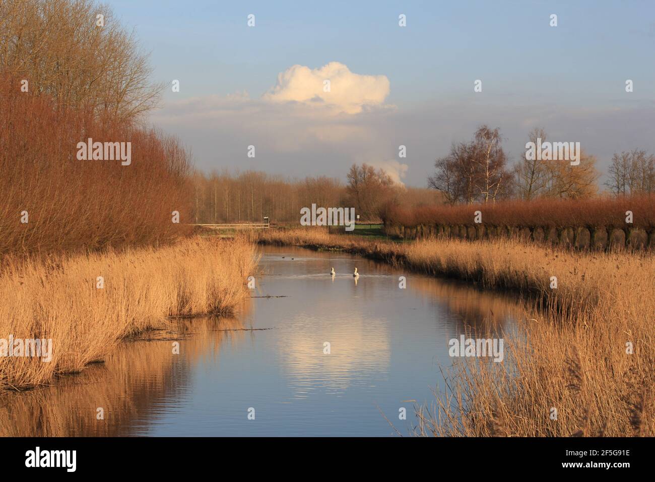 Pollard channel hi-res stock photography and images - Alamy