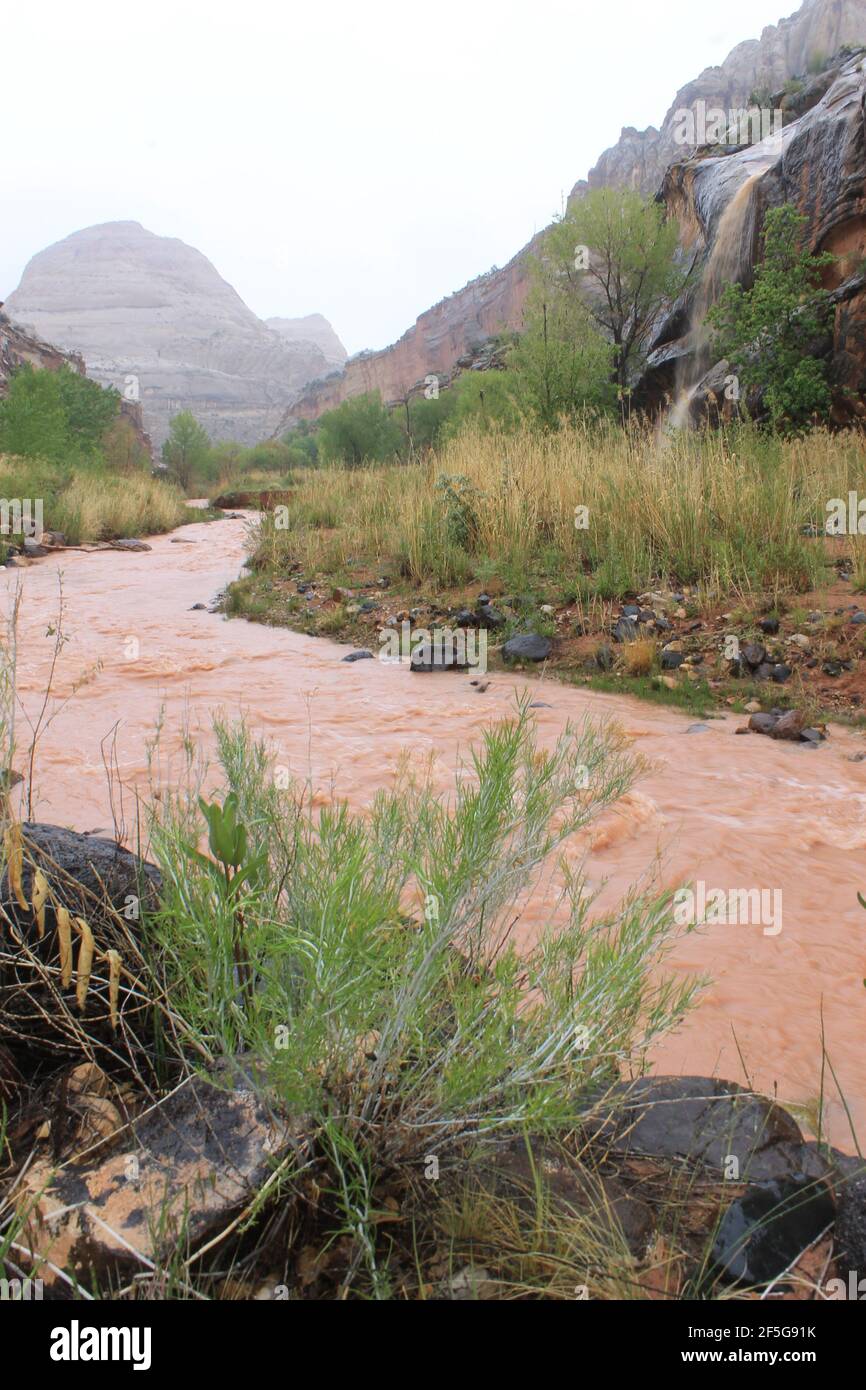 Flash Flood in the desert Stock Photo - Alamy