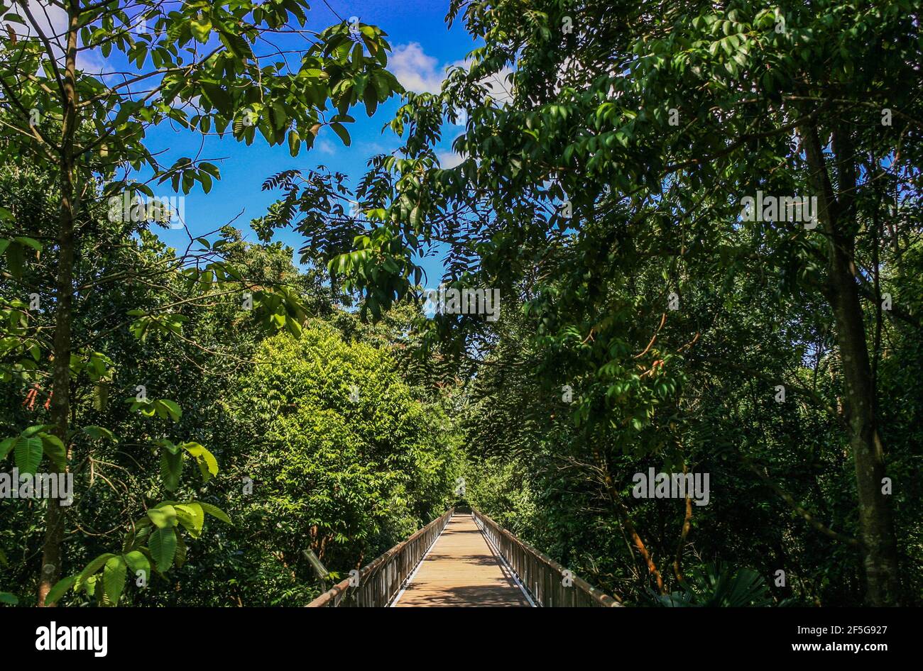 Botanical Gardens (Taman Botani) in Putrajaya near Kuala Lumpur ...