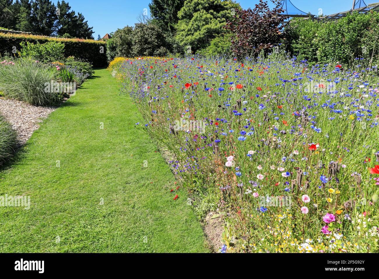 East Ruston Old Vicarage Garden, East Ruston, Norfolk, England, UK ...