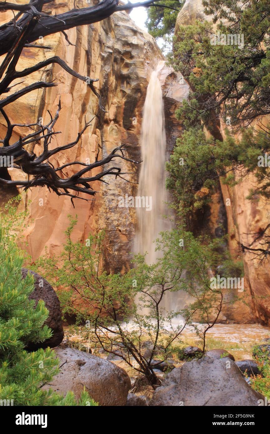 Flash Flood in the desert Stock Photo - Alamy