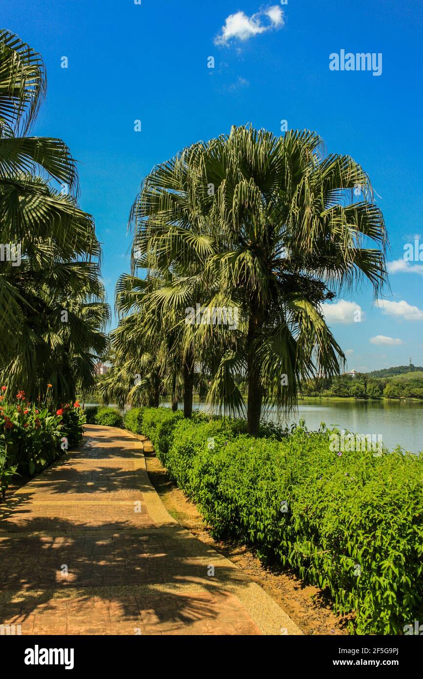Botanical Gardens (Taman Botani) in Putrajaya near Kuala Lumpur ...