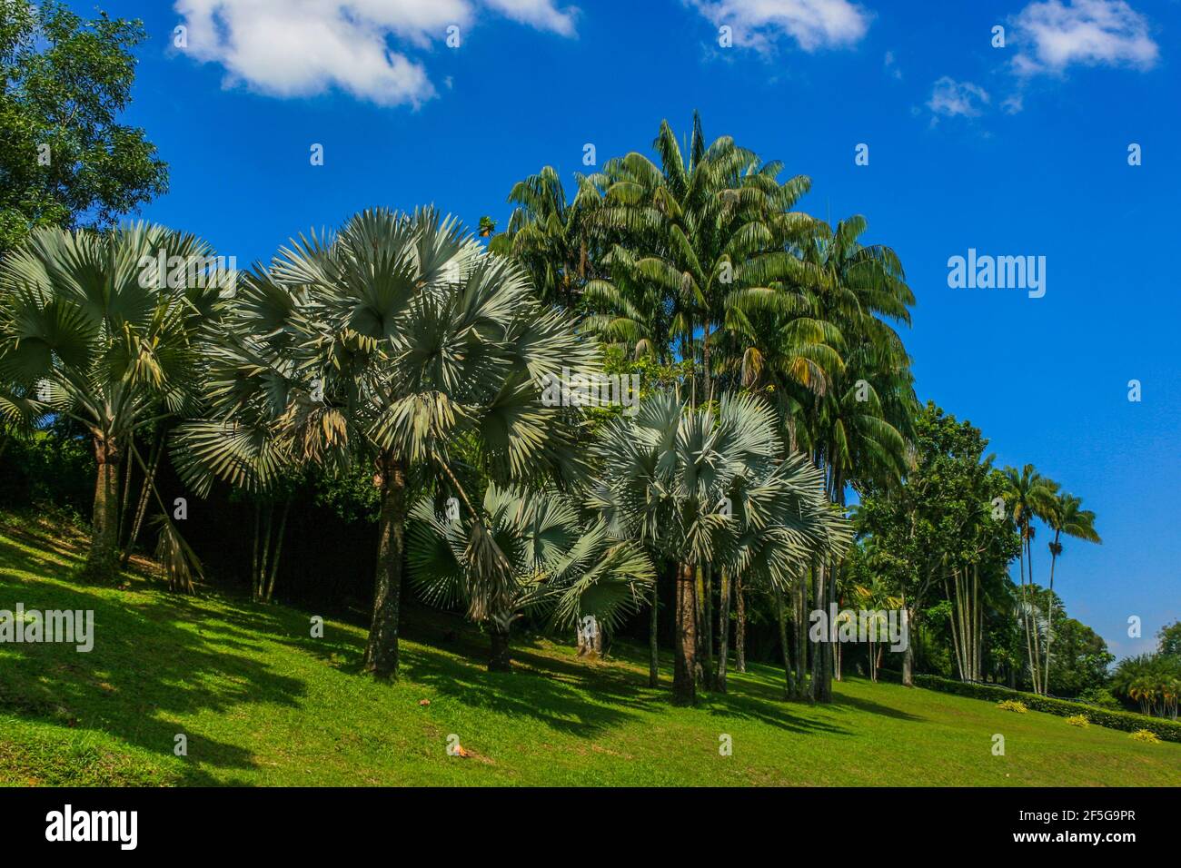 Botanical Gardens (Taman Botani) in Putrajaya near Kuala Lumpur ...