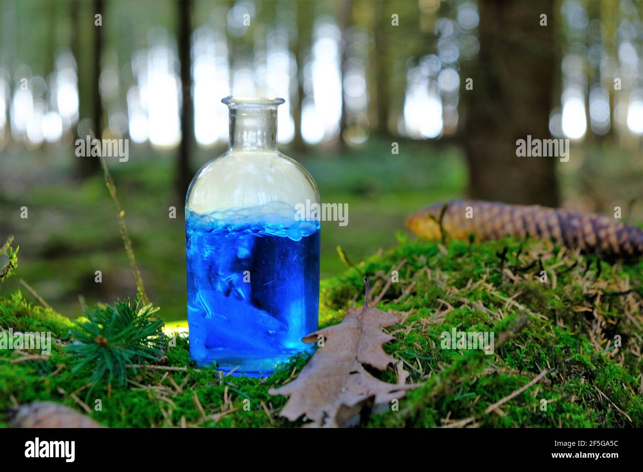 herbal blue potion.Herbal elixir on a stump on a blurred forest ...
