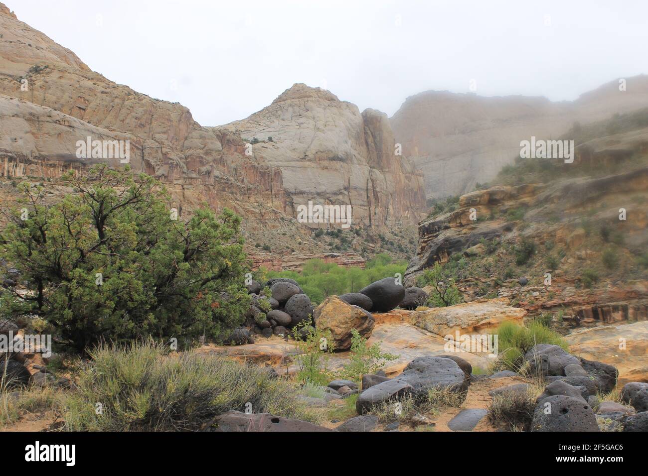 Desert foggy scene hi-res stock photography and images - Alamy