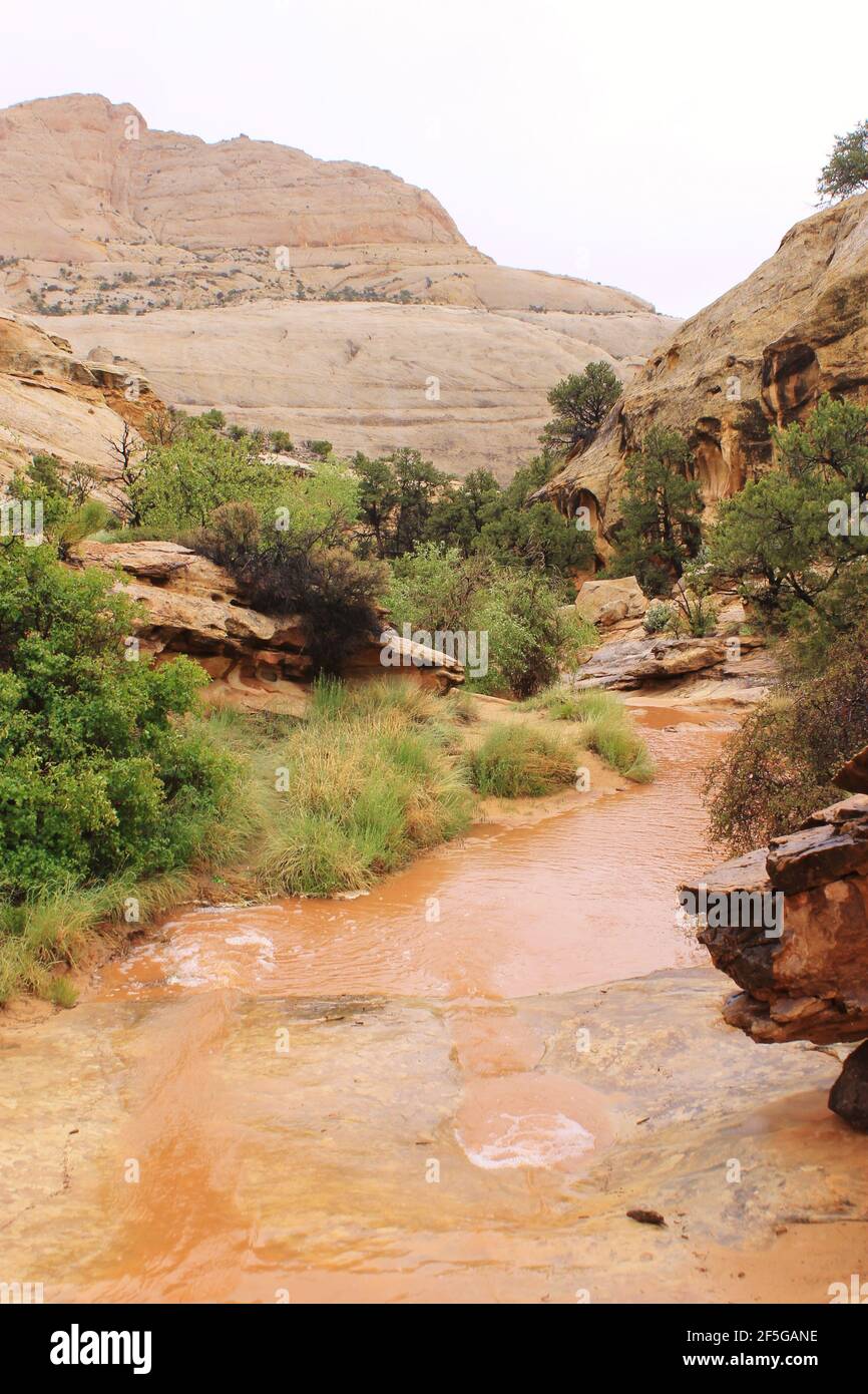 Flash Flood in the desert Stock Photo - Alamy