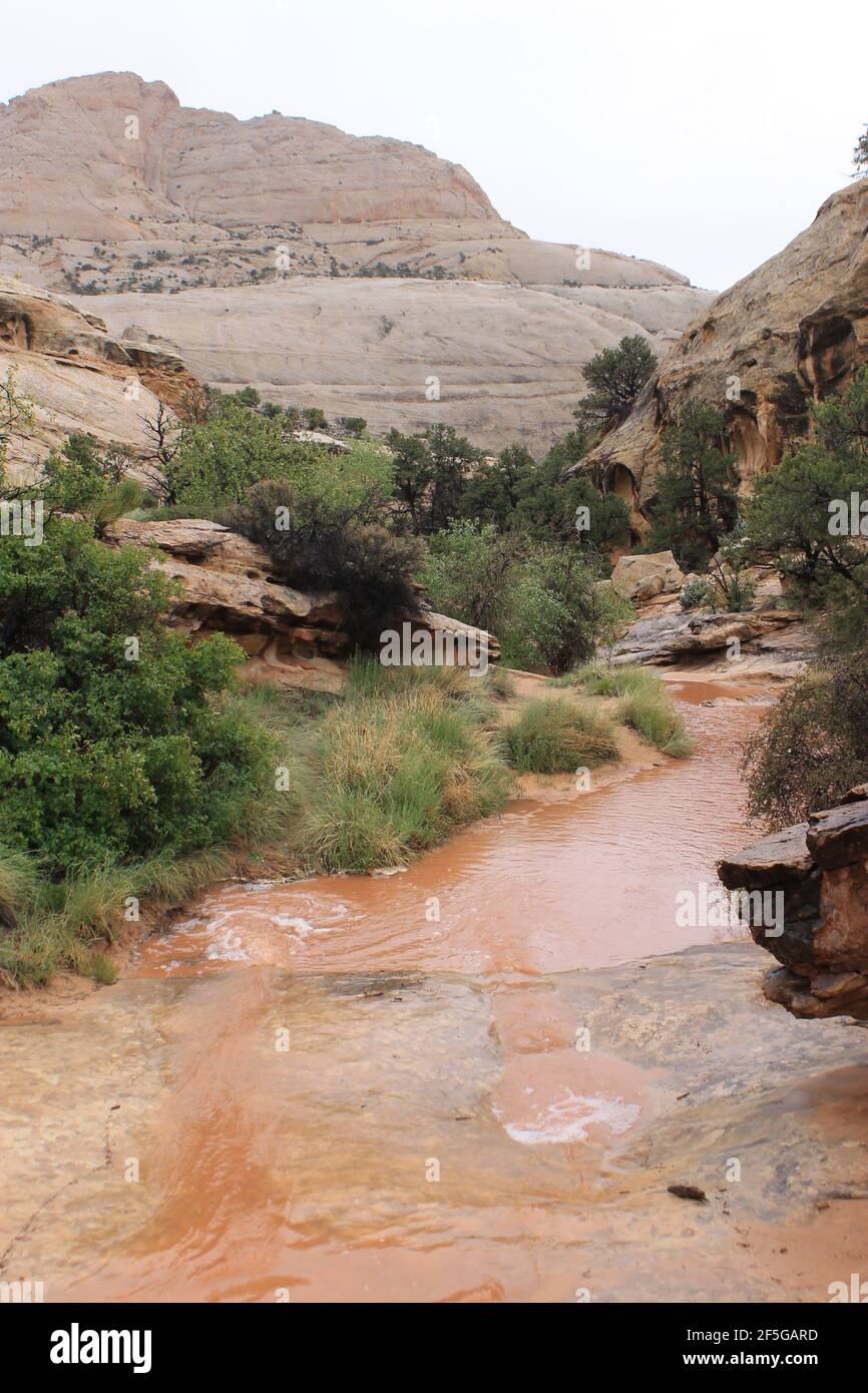 Flash Flood in the desert Stock Photo - Alamy