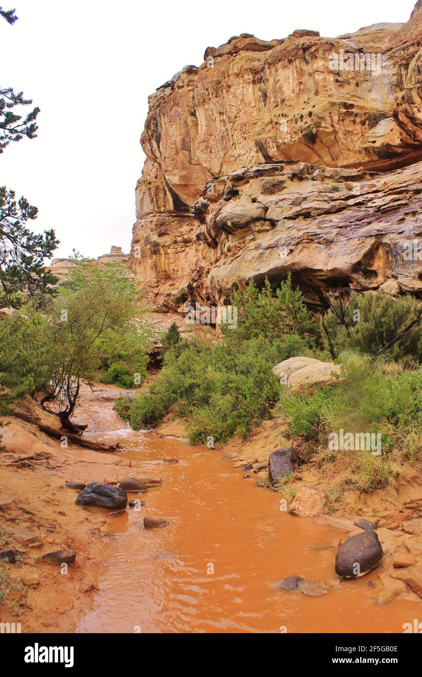 Flash Flood in the desert Stock Photo - Alamy