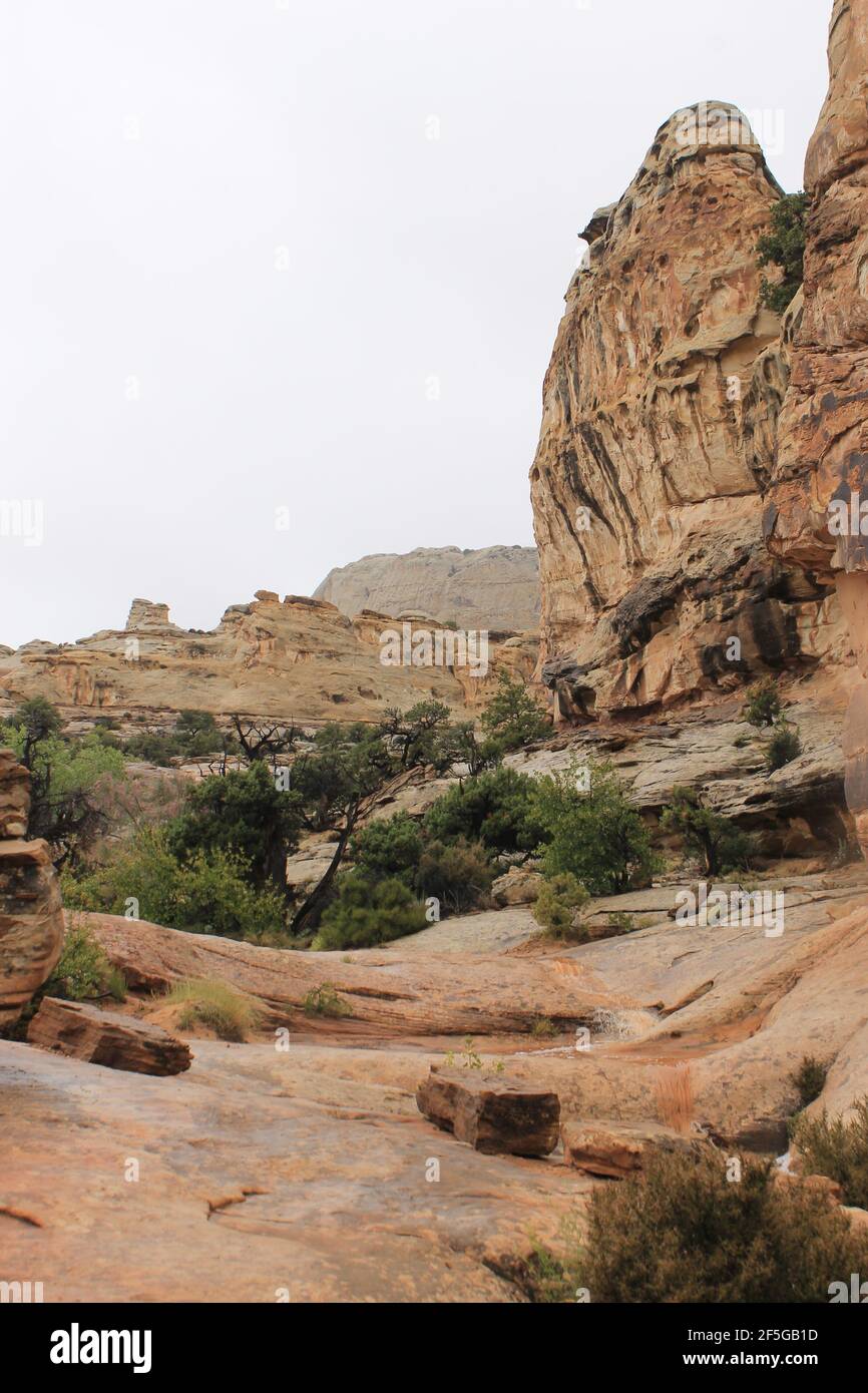 Fog over the desert hi-res stock photography and images - Alamy