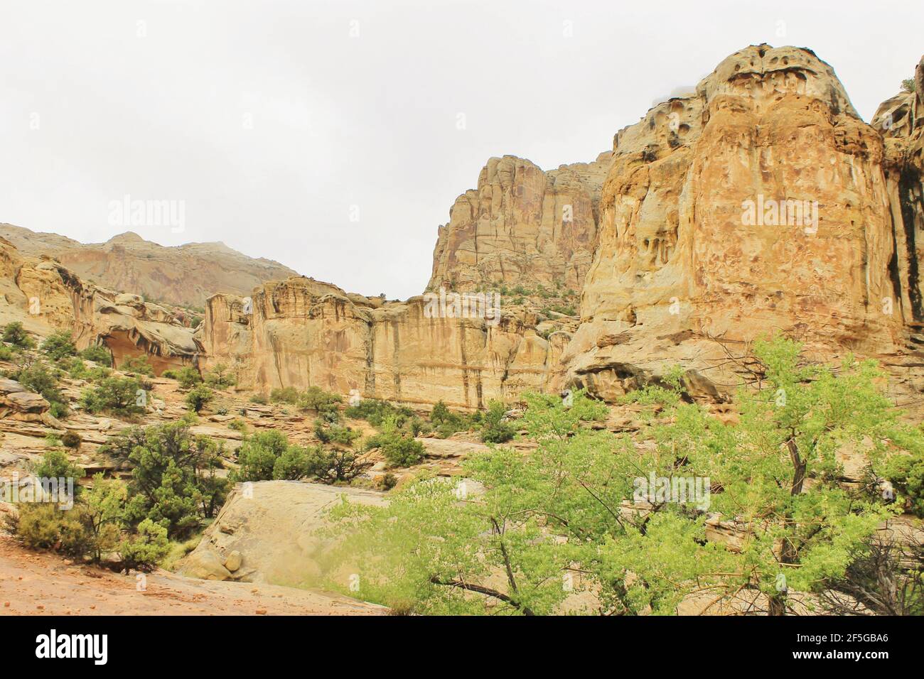 Desert foggy scene hi-res stock photography and images - Alamy