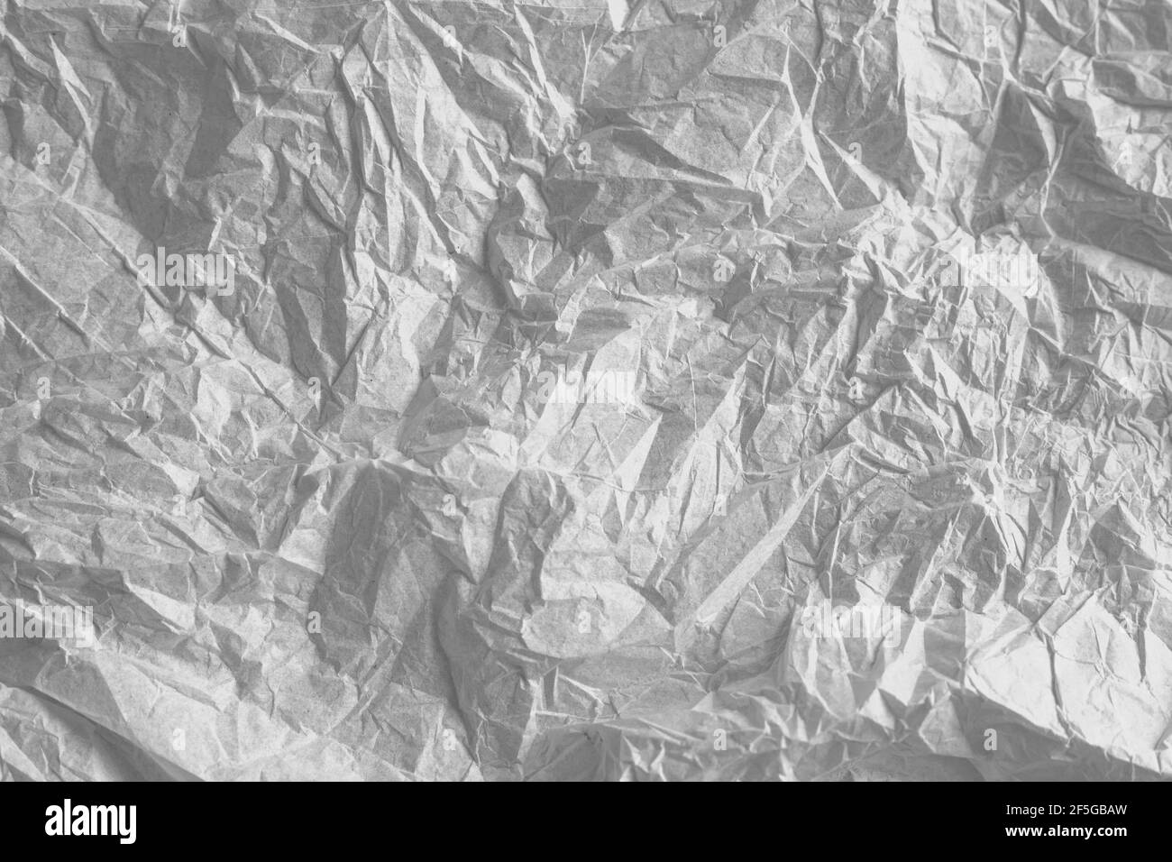 background from crumpled texture paper in light gray color, template ...