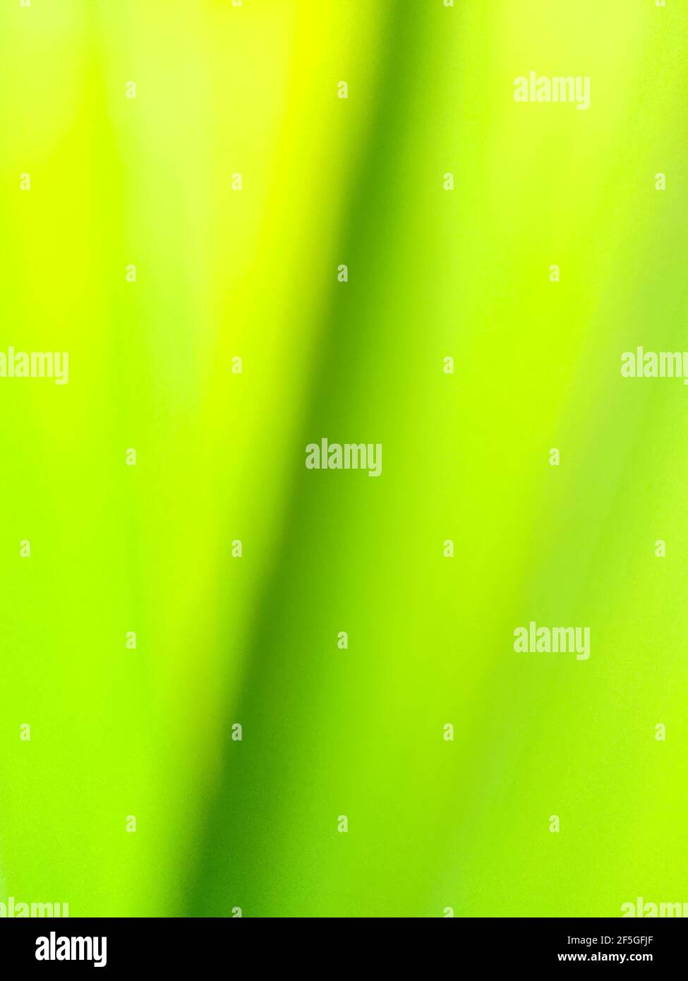 Vertical vibrant neon green background Stock Photo - Alamy