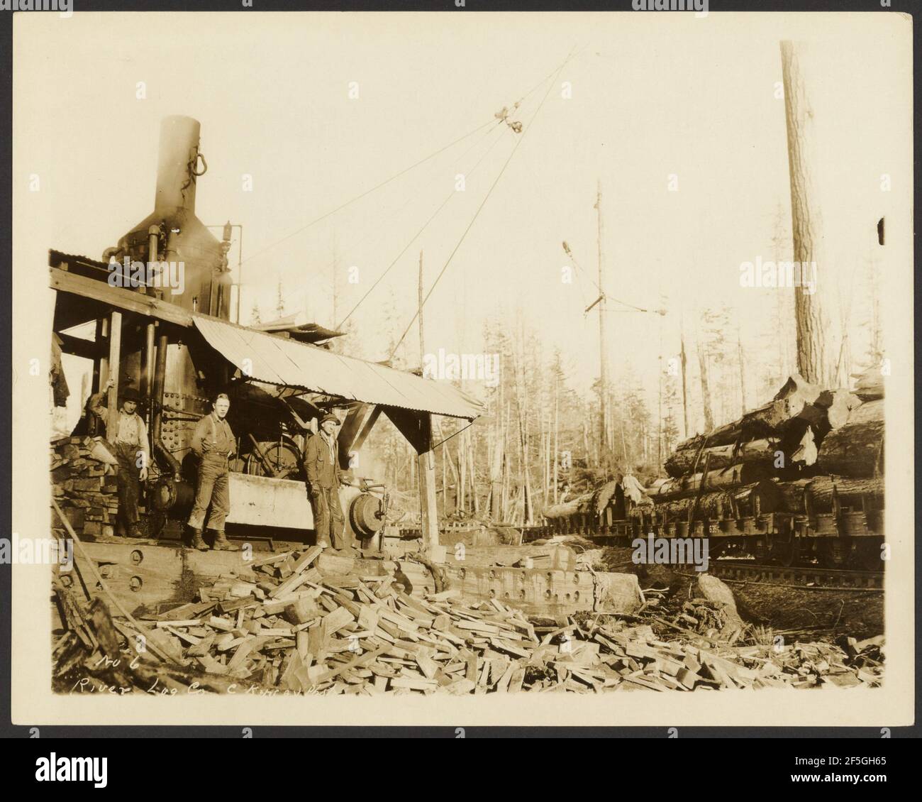 Logging/ Timber Scene. Darius Kinsey (American, 1869 - 1945 Stock Photo ...