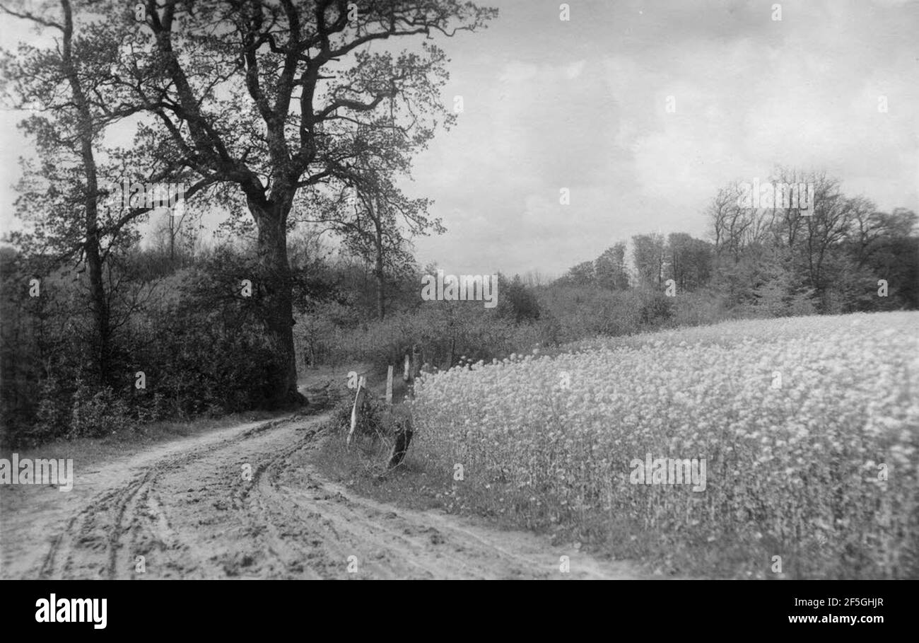 Kiel oppendorf hi-res stock photography and images - Alamy