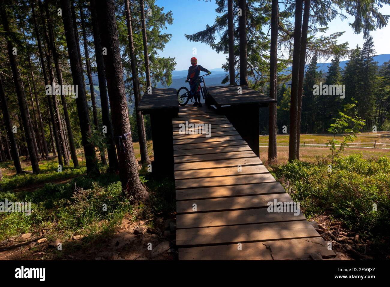 Downhill biker on a mountain bike on a woody ramp in the woods ...