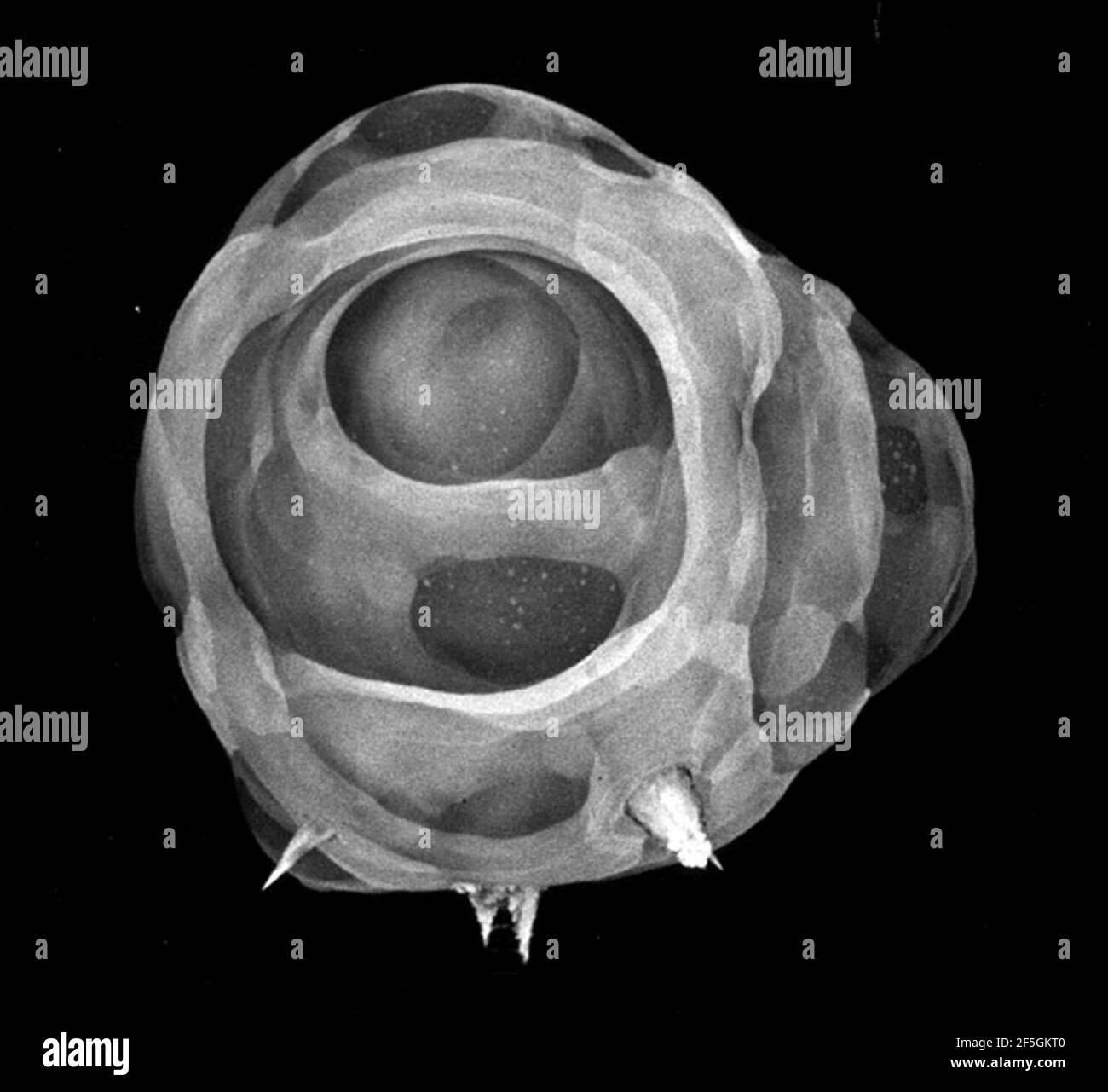 Rapatronic Picture 009 Stock Photo - Alamy