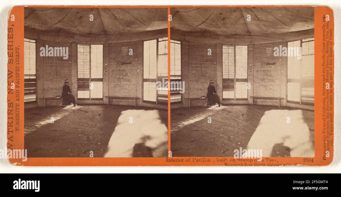 Stump of a tree hi-res stock photography and images - Alamy