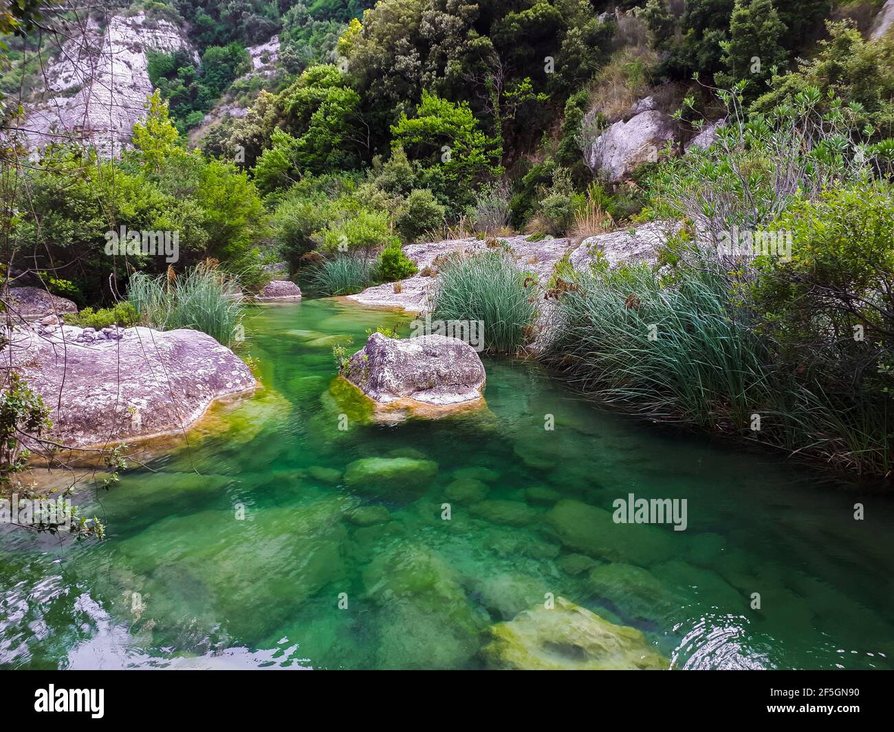 Small river formed in forest hi-res stock photography and images - Alamy