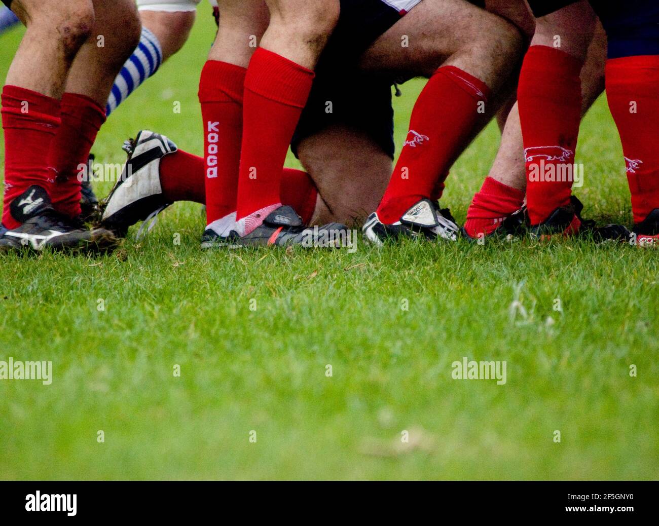 Green grass with rugby legs hi-res stock photography and images - Alamy