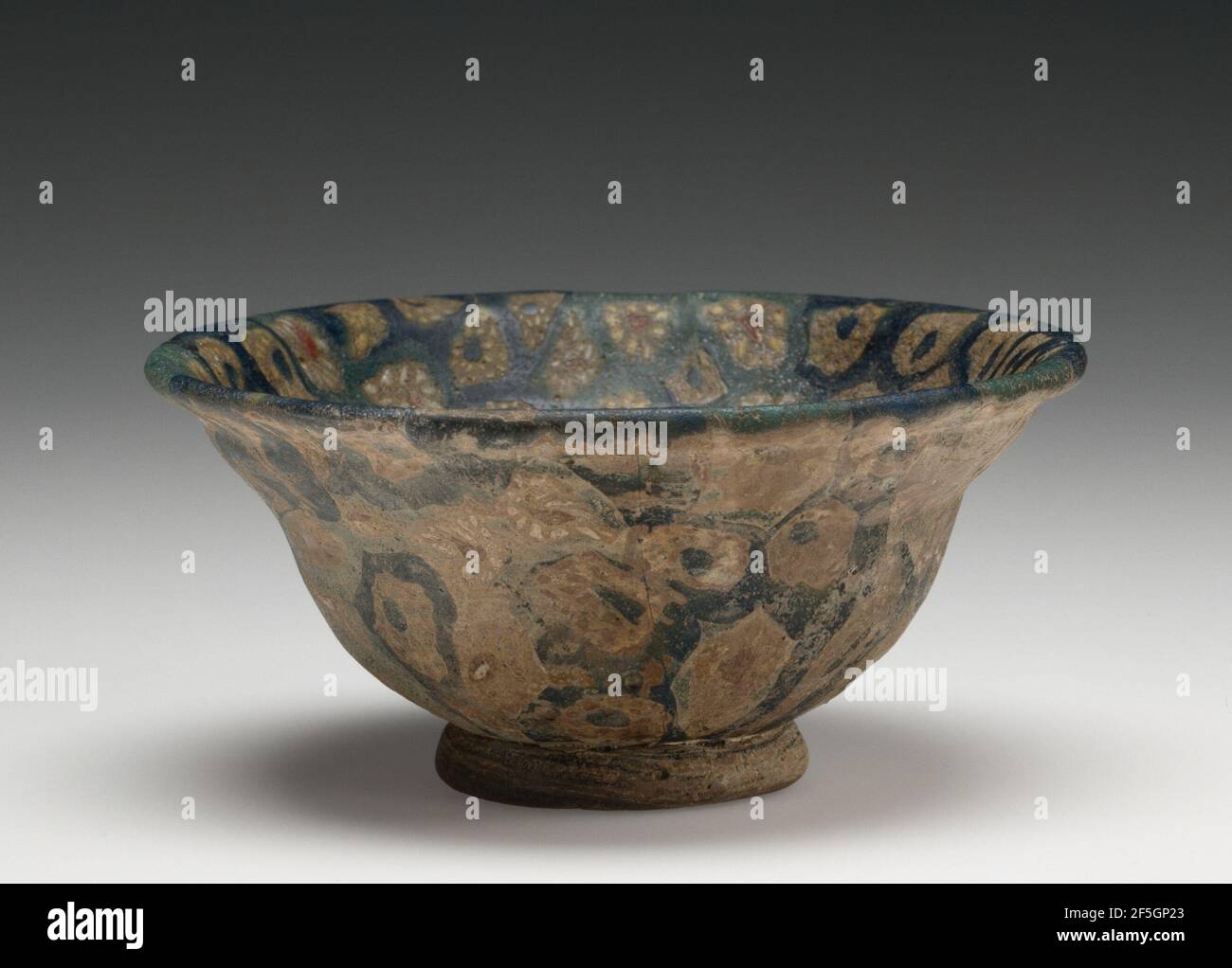 Carinated hi-res stock photography and images - Alamy