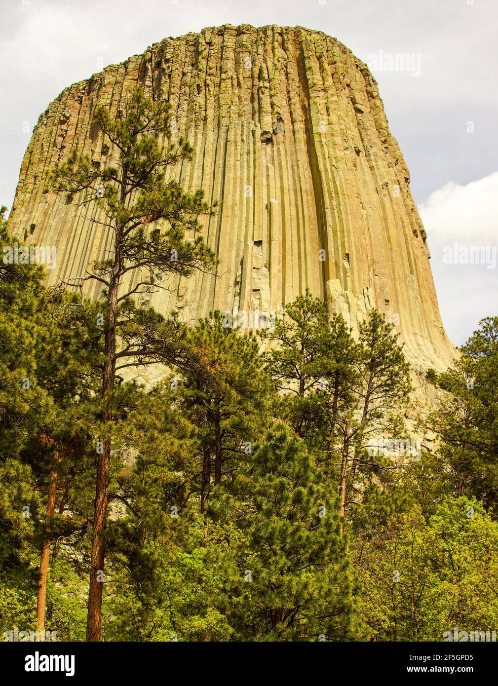 Vertical shot of the Devils Tower National Monument in Devils USA Stock ...