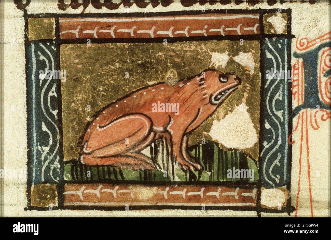 Rana (frog) - Der naturen bloeme - Jacob van Maerlant - KB KA 16 - 134v ...