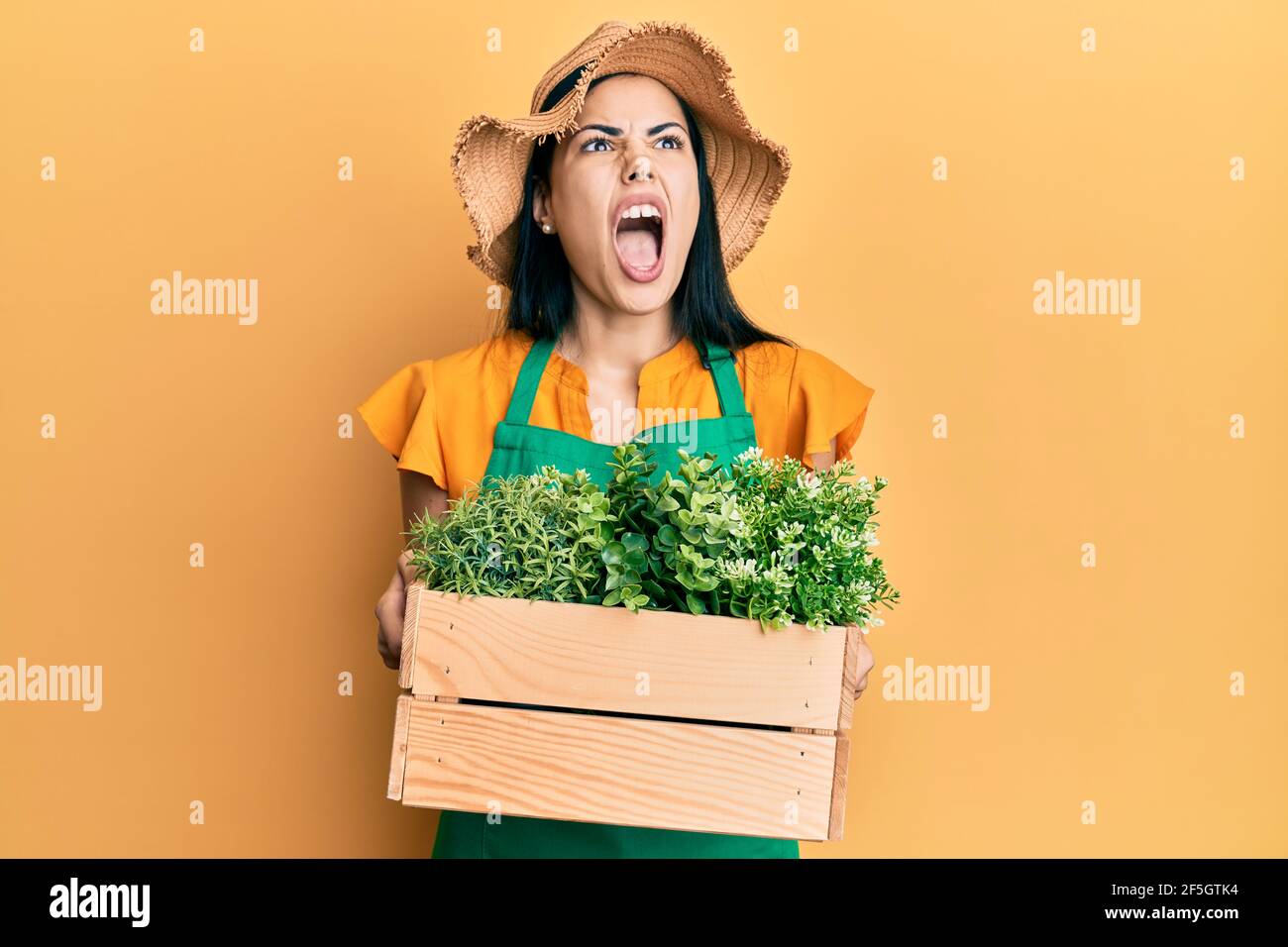 Beautiful young woman wearing gardener apron holding wooden plant pot ...