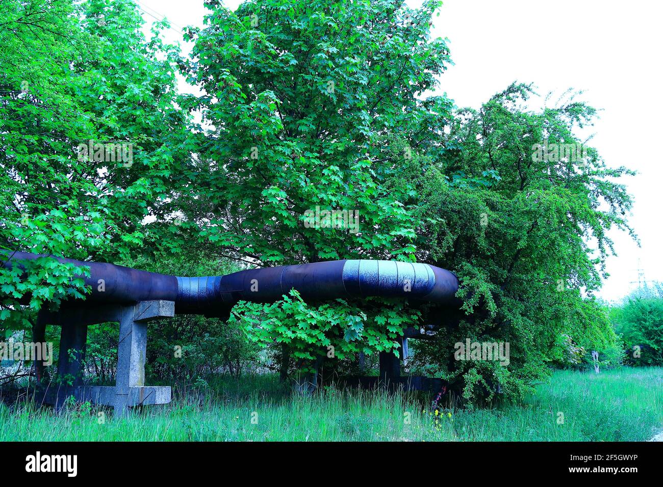 Urban district heating pipe surrounding a tree in the suburbs Stock ...