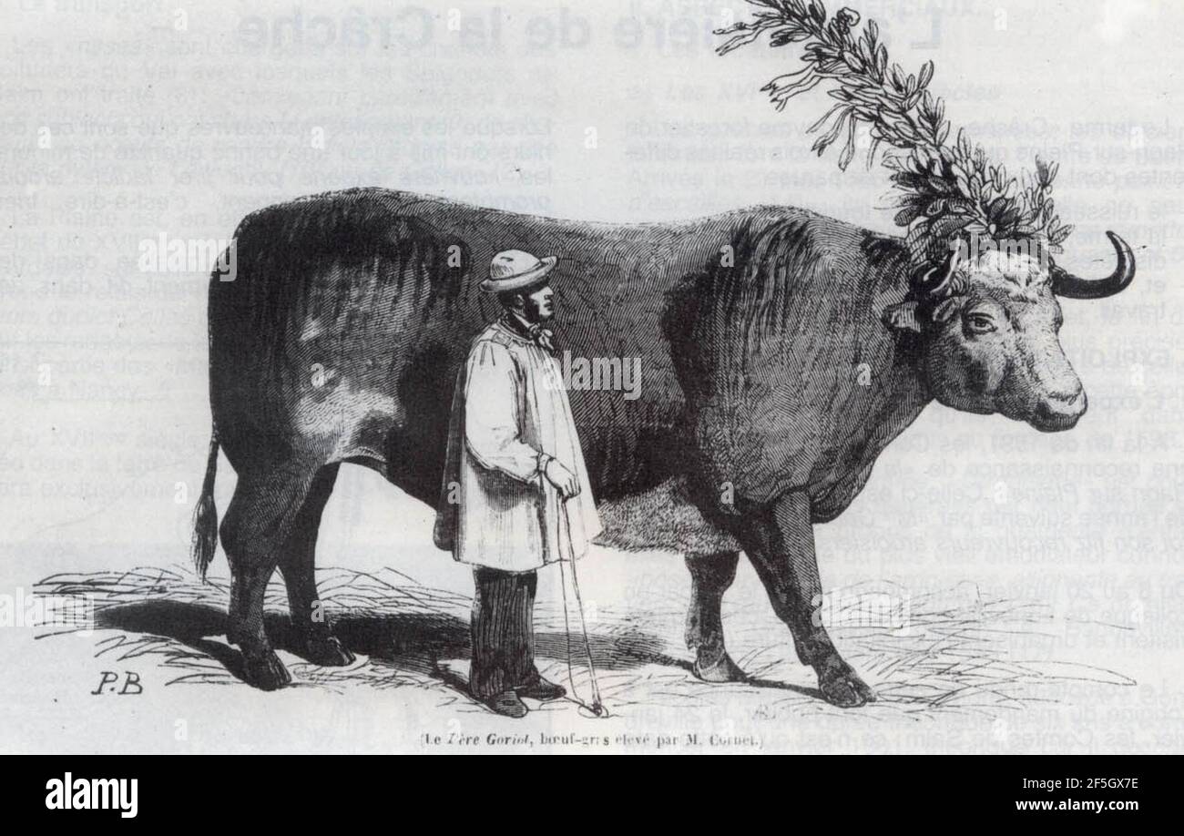 Goriot hi-res stock photography and images - Alamy