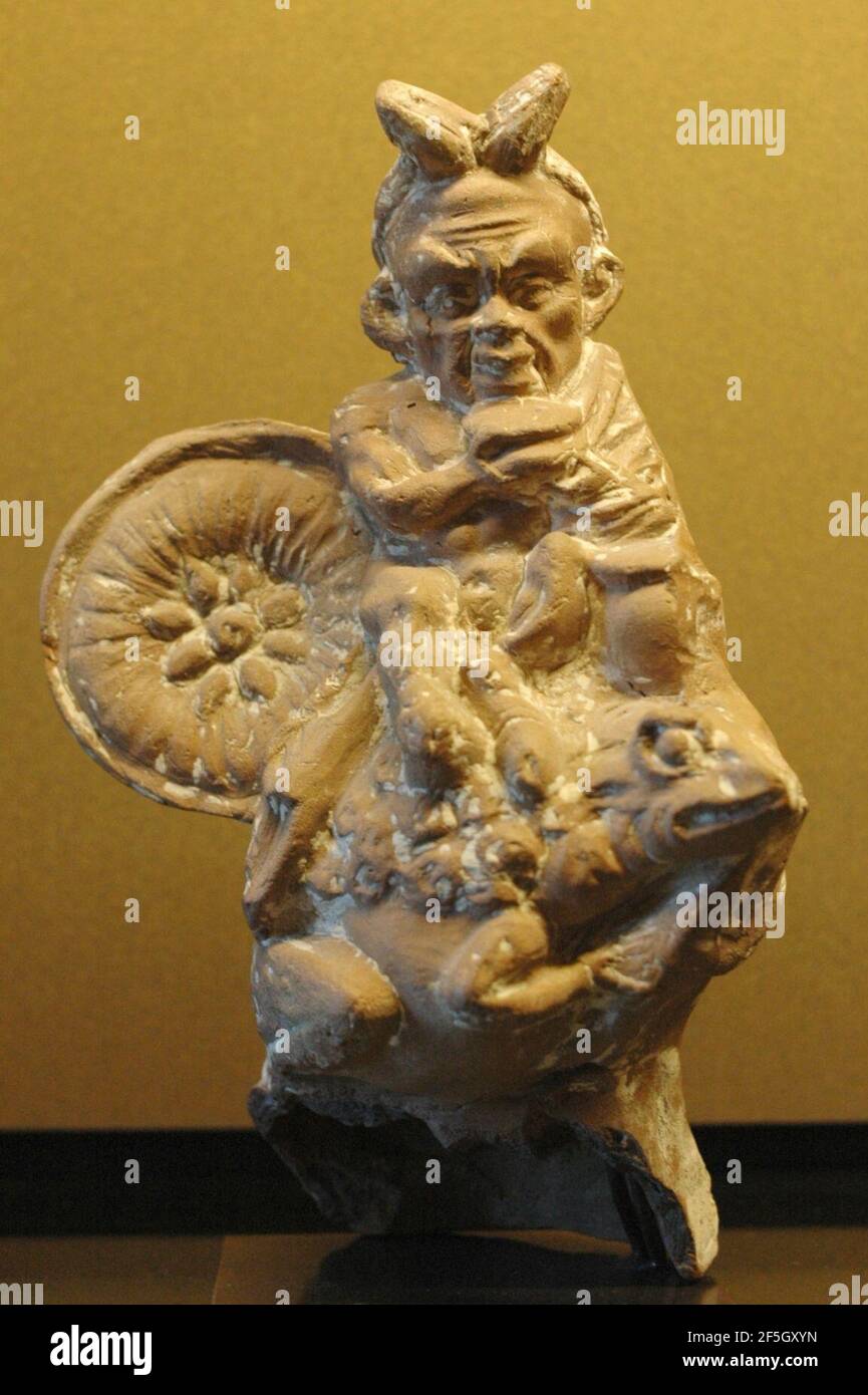 Pygmy Frog High Resolution Stock Photography and Images - Alamy