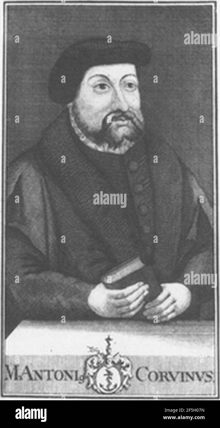 Corvinus Black and White Stock Photos & Images - Alamy