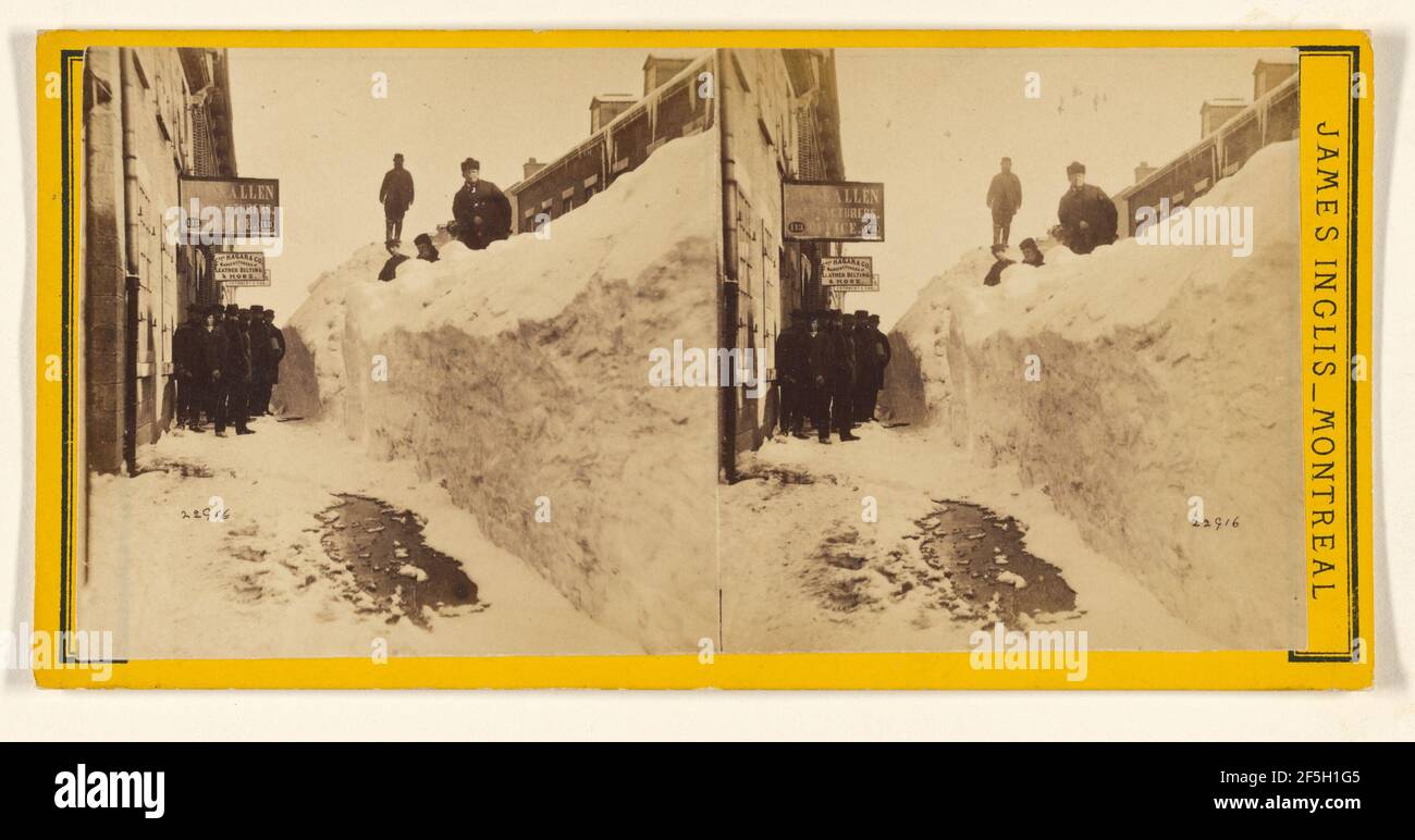 Queen Street. Taken between the 7th and 15th of March, 1869.. James ...