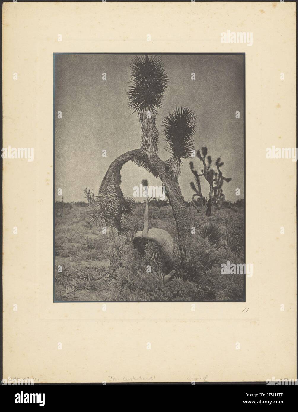 Contortionist vintage hi-res stock photography and images - Alamy