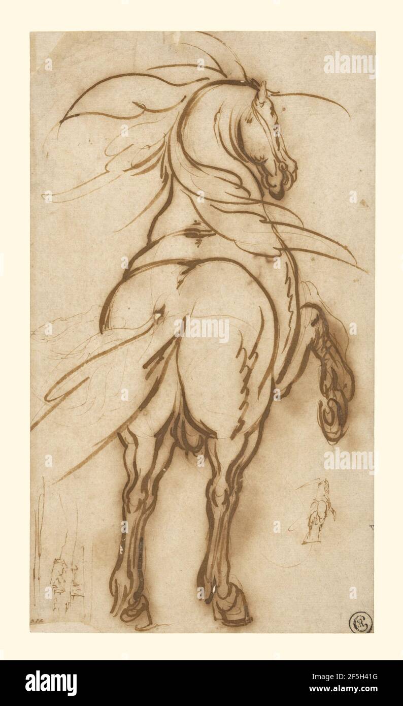 Study of a Rearing Horse. Jacques Callot (French, 1592 - 1635 Stock ...