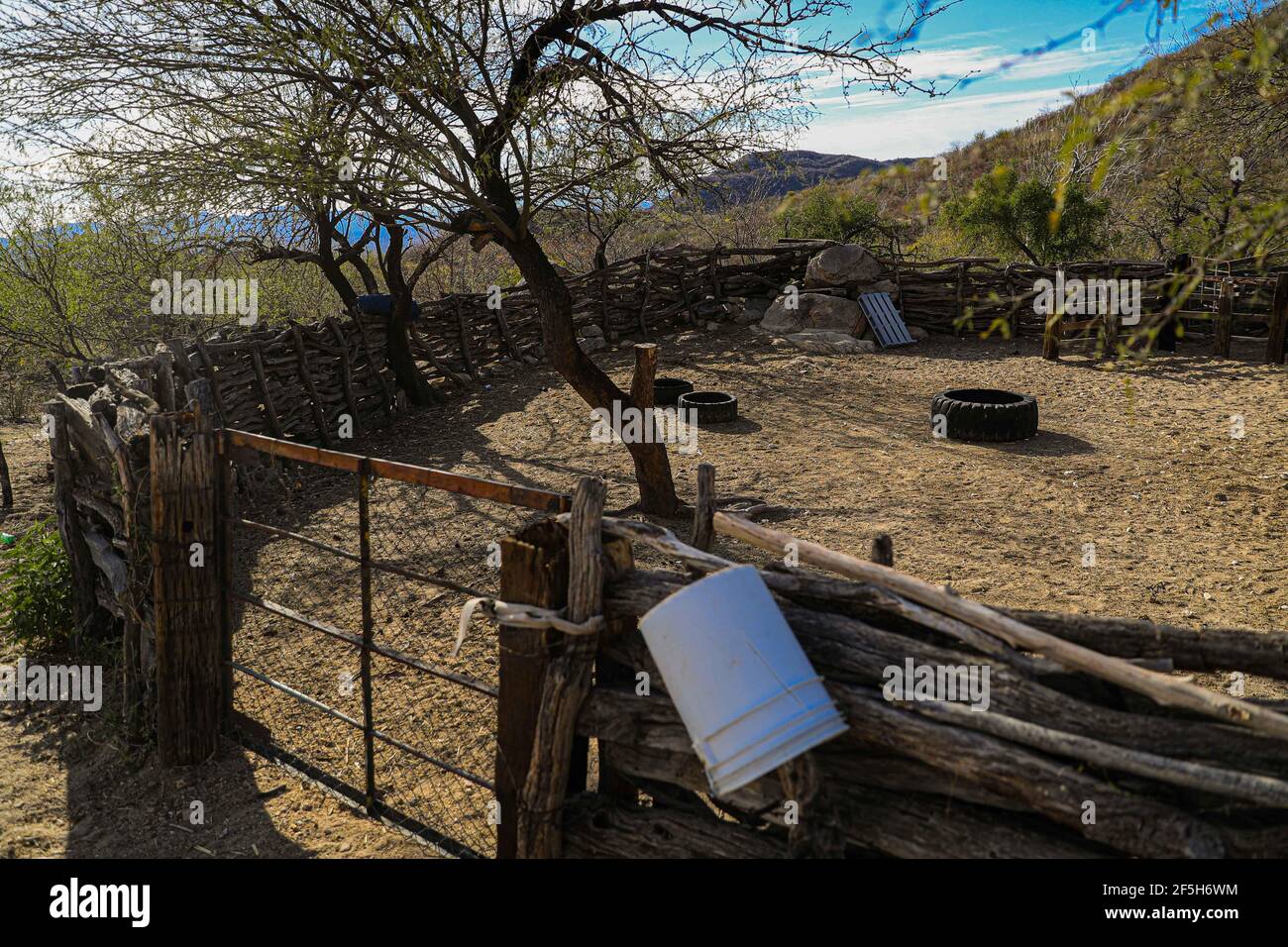 Sierra para madera hi-res stock photography and images - Alamy