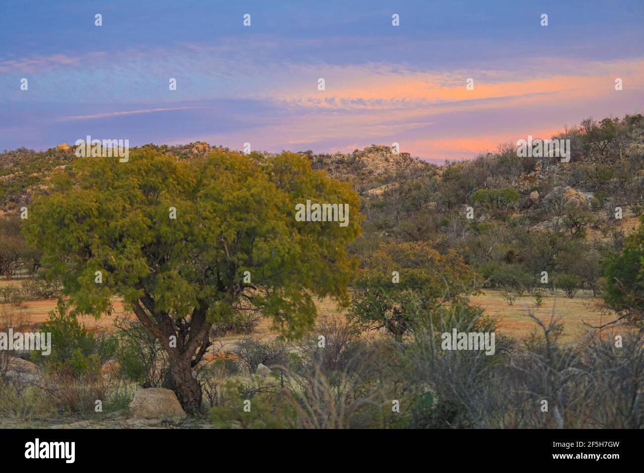 Rancho del desierto hi-res stock photography and images - Alamy