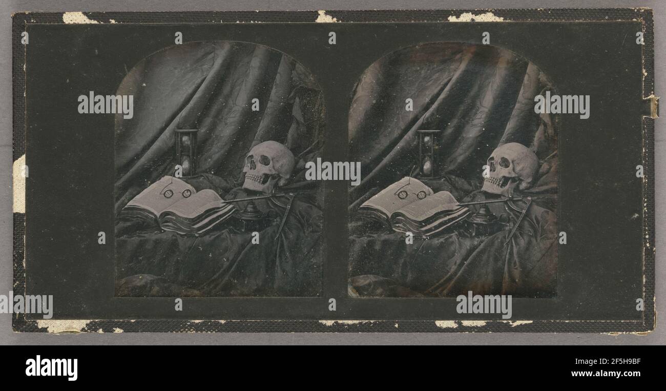 Vanitas still life with skull hi-res stock photography and images - Alamy