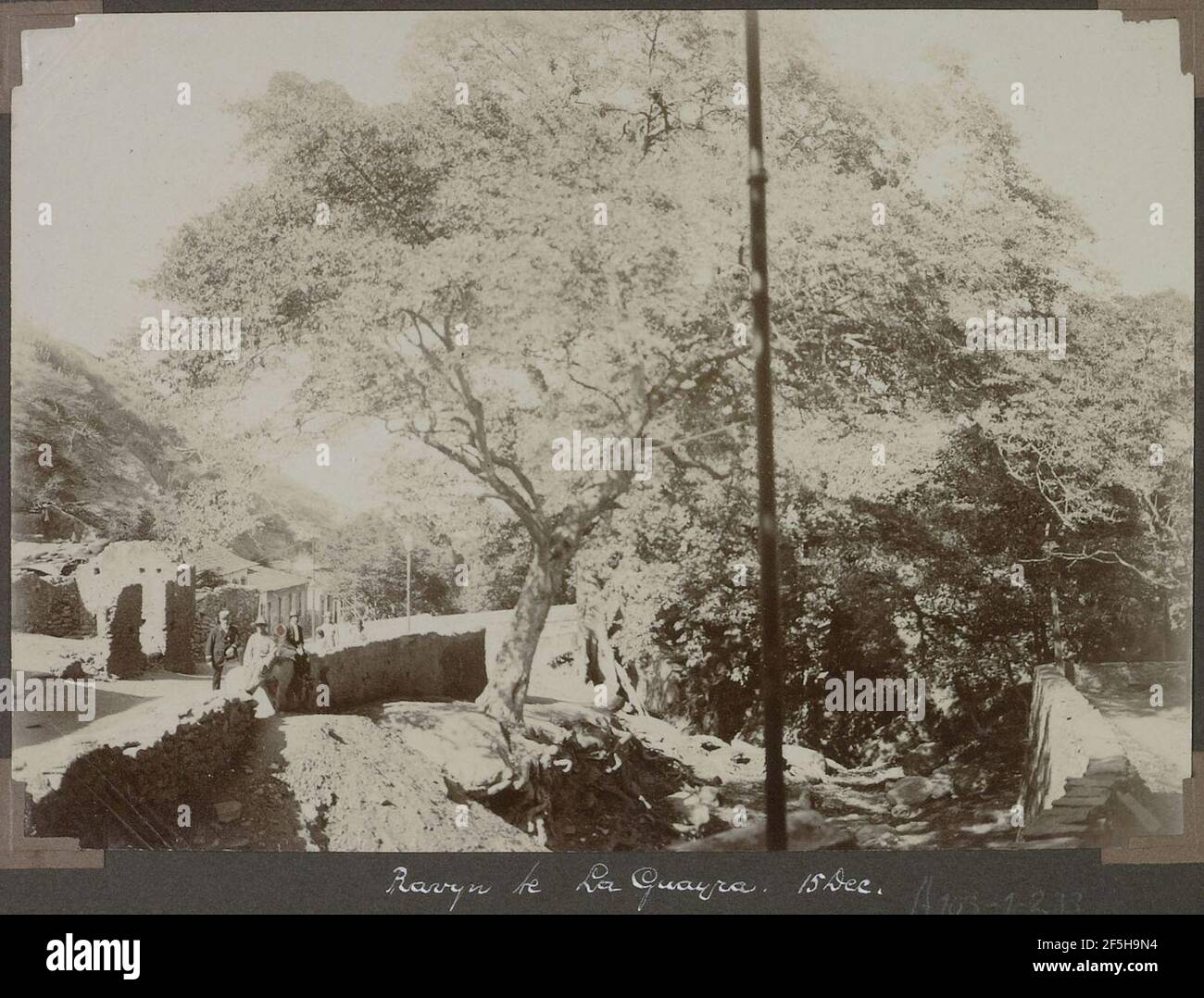 Ravijn hi-res stock photography and images - Alamy