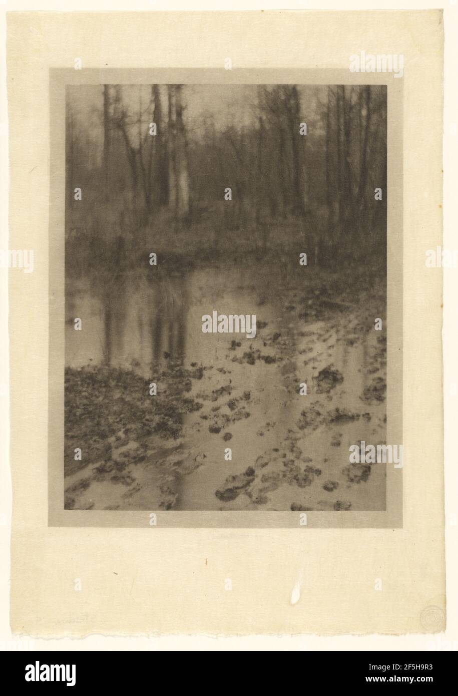 The Pool. Edward Steichen (American, born Luxembourg, 1879 - 1973 Stock ...