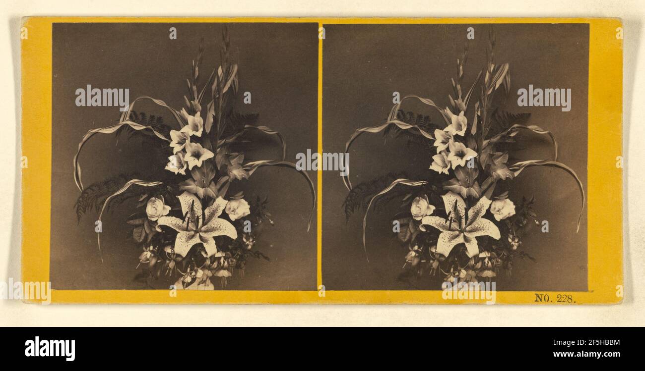 Flower arrangement. Benjamin West Kilburn (American, 1827 - 1909 Stock ...