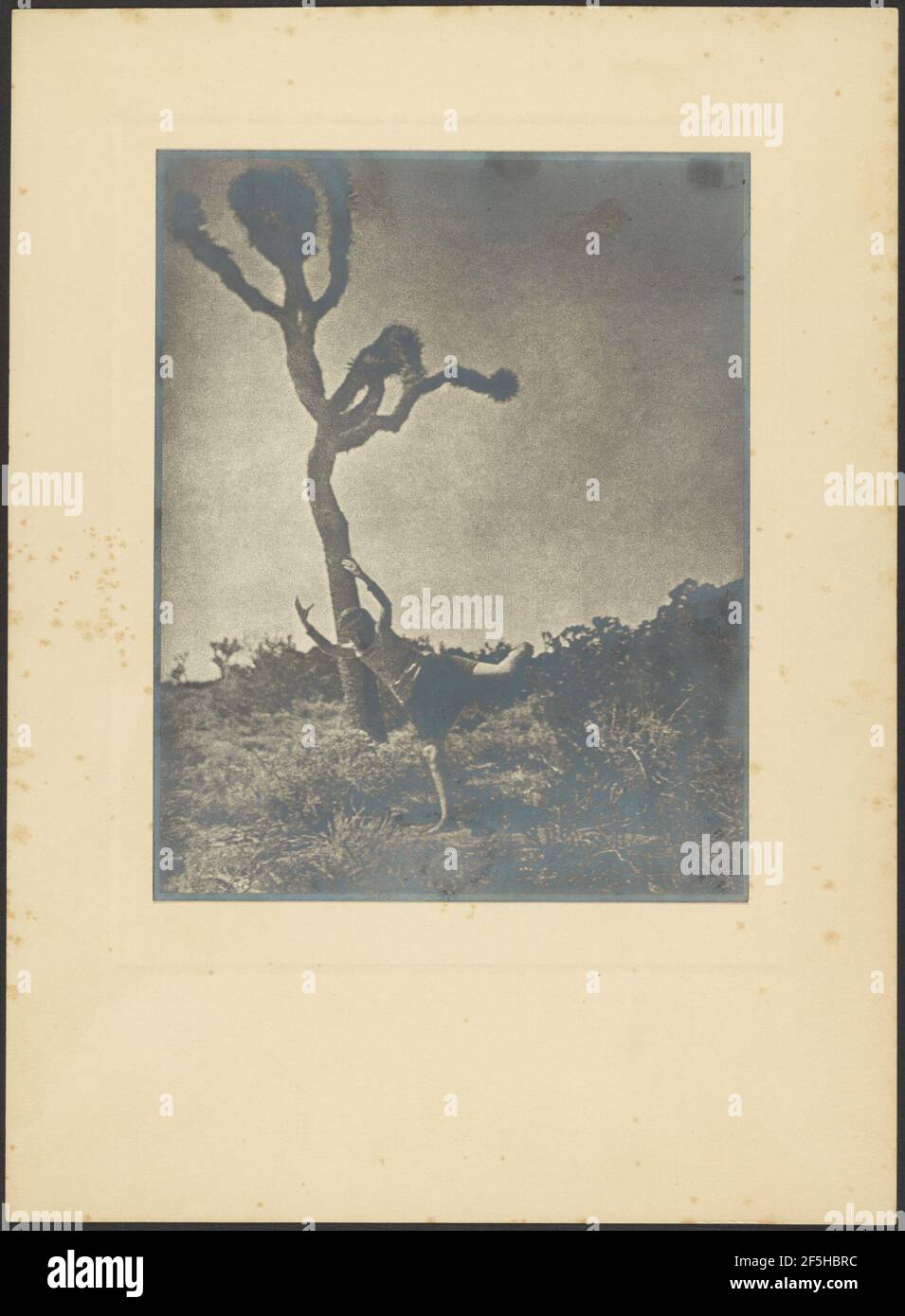 1866 1943 hi-res stock photography and images - Alamy